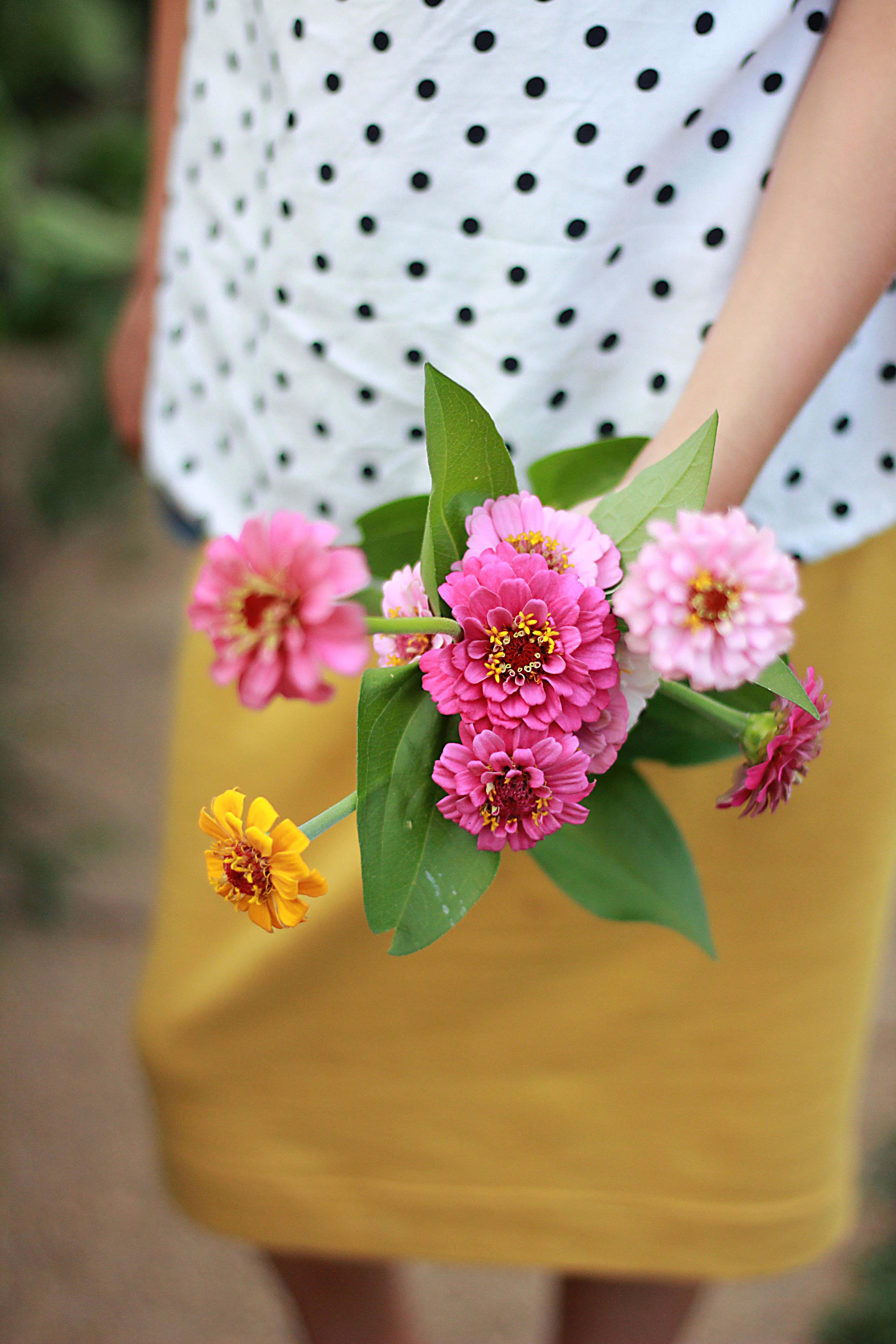 Little House Series: Gardening for Kids – Skies of Parchment