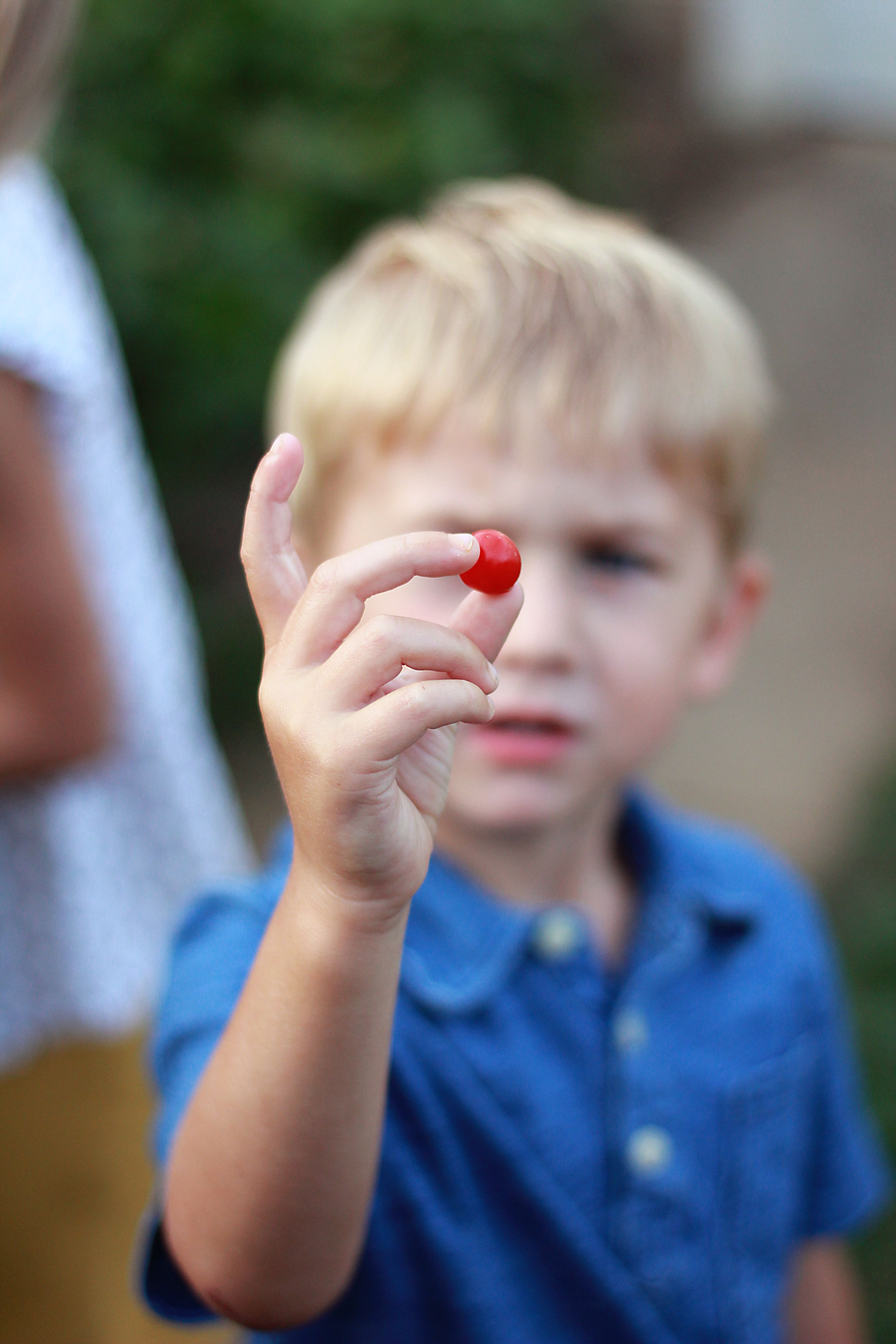 Little House Series: Gardening for Kids – Skies of Parchment