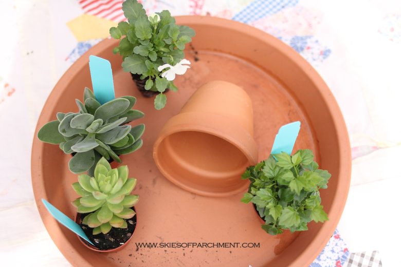 A Resurrection Garden for Kids – Skies of Parchment